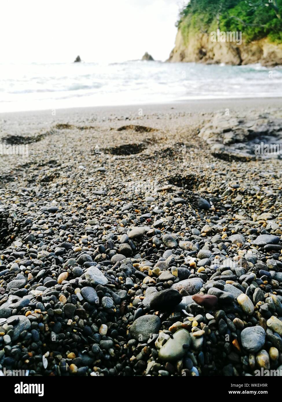 Pebbles on beach new zealand hi-res stock photography and images - Alamy