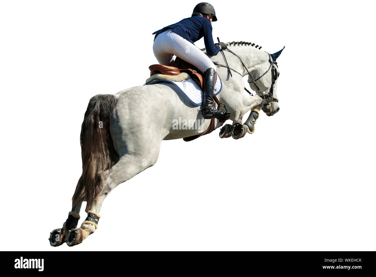 Showjumping White Background High Resolution Stock Photography and ...