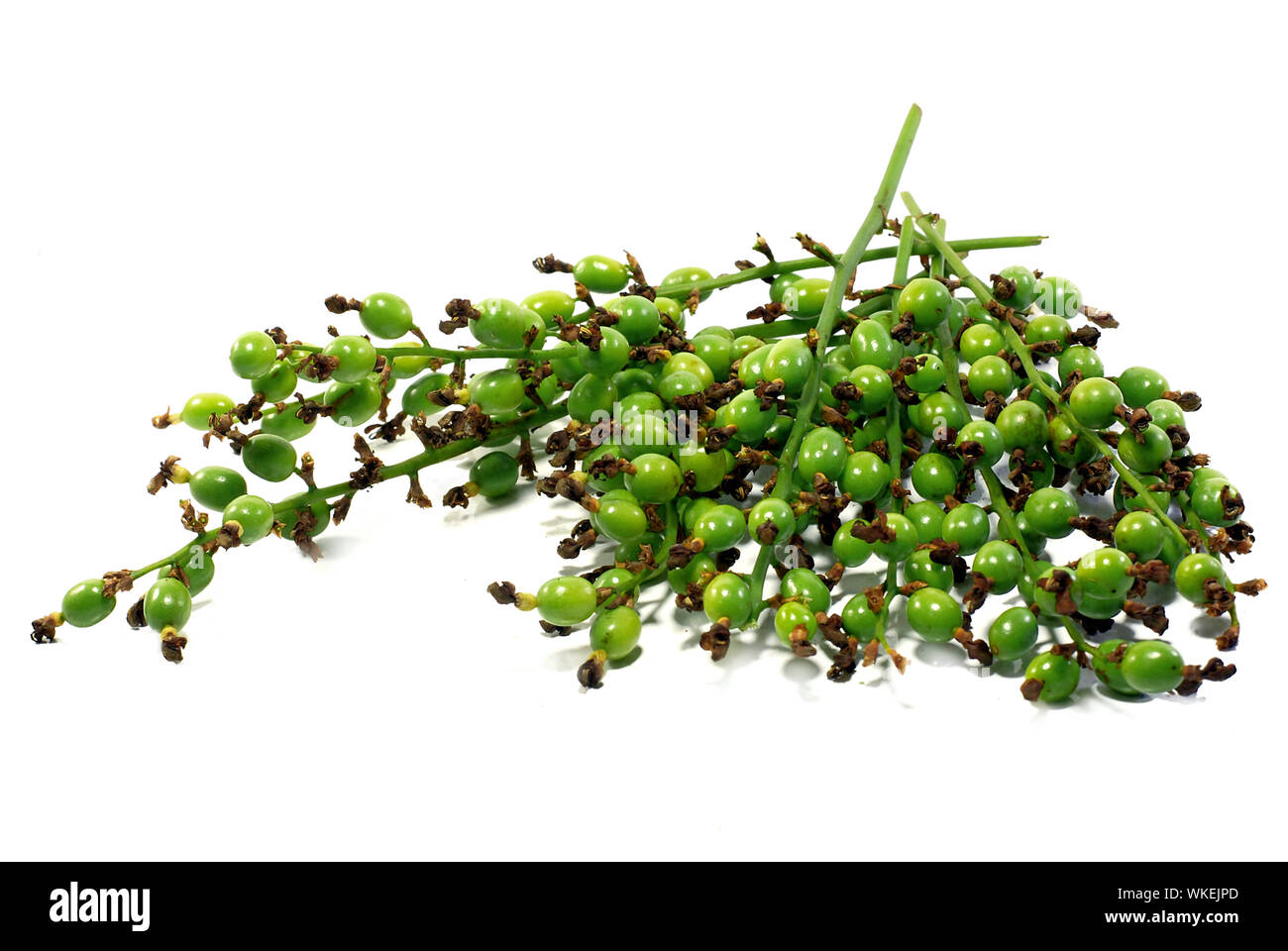 Turmeric cardamom Cut Out Stock Images & Pictures - Alamy