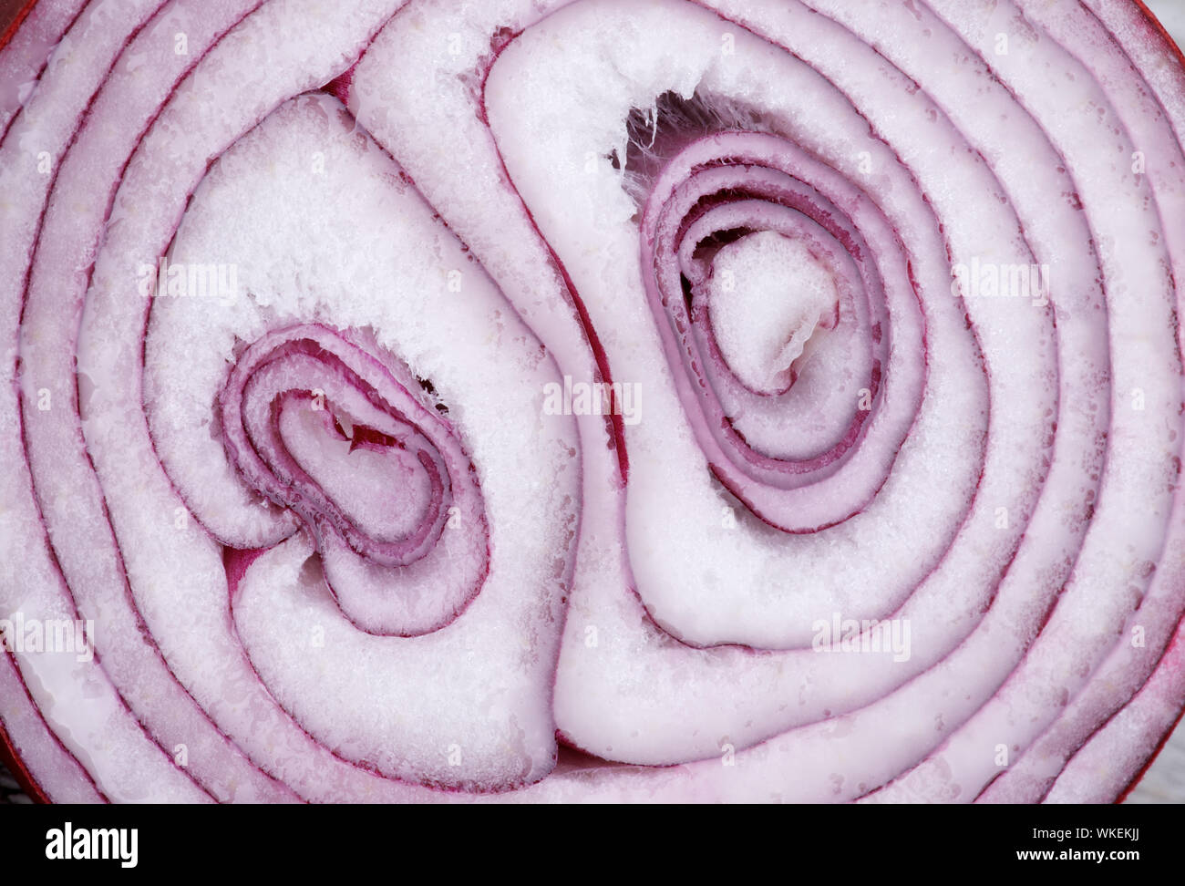 Background of Red Onion Slice Cross Section closeup Stock Photo - Alamy