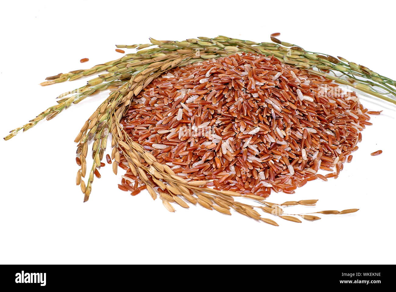 Rice or Riceberry isolated on white background Stock Photo - Alamy