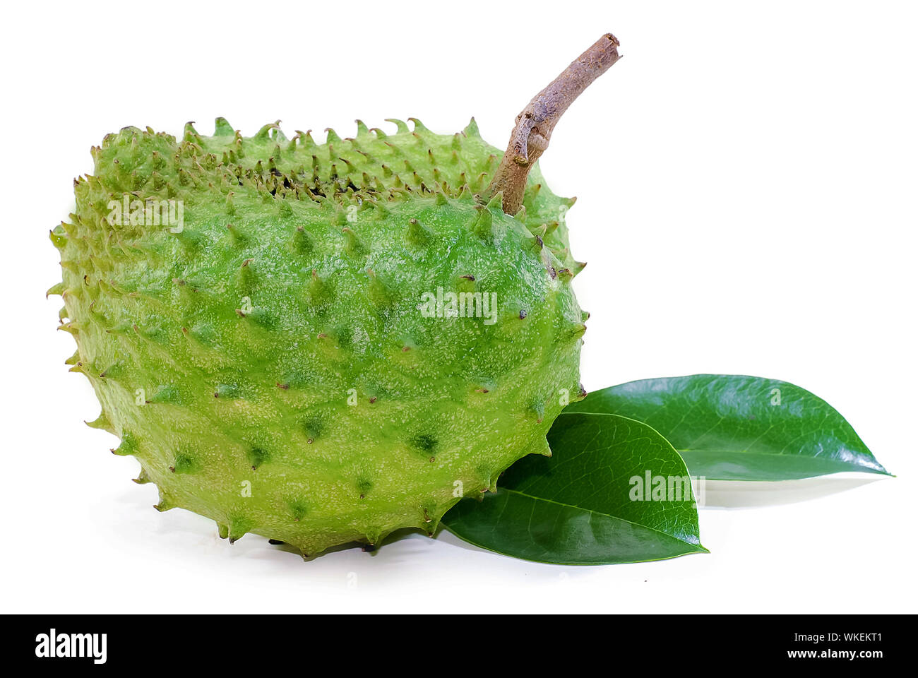 Soursop, Prickly Custard Apple isolated on white Stock Photo - Alamy