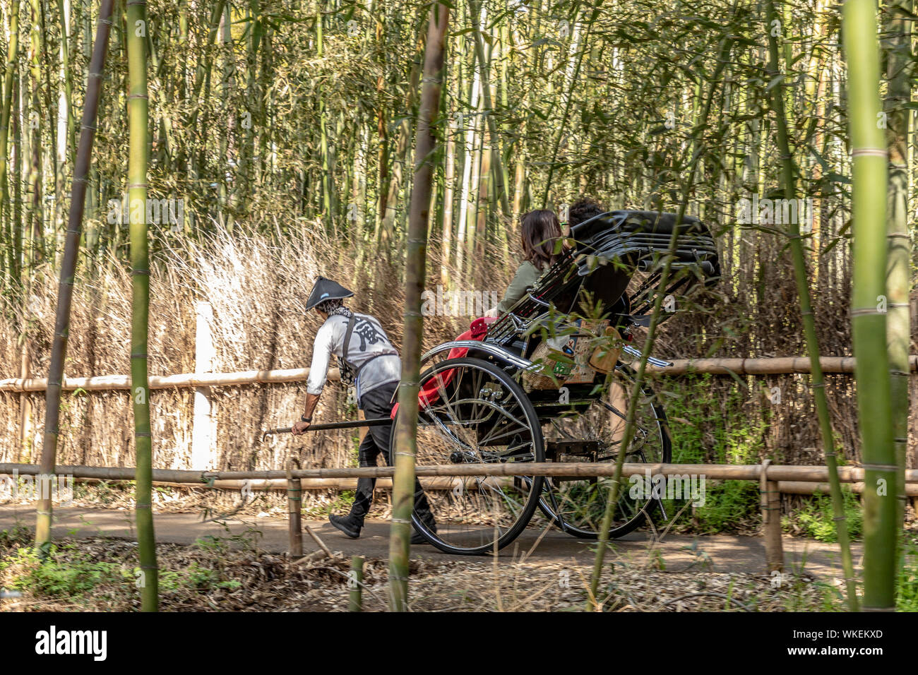Japanese hand drawn rickshaw in Arashiyama bamboo forest, Kyoto, Japan ...