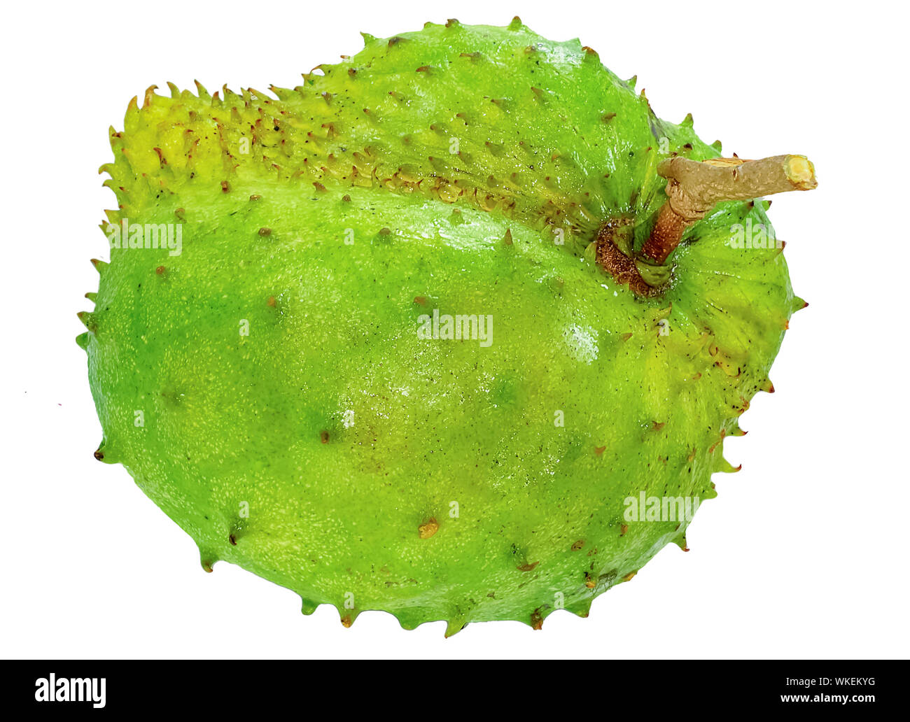Soursop, Prickly Custard Apple isolated on white Stock Photo - Alamy