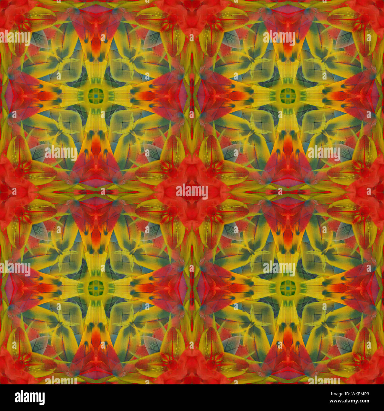 Beautiful seamless pattern made from Scarlet Macaw feathers Stock Photo ...