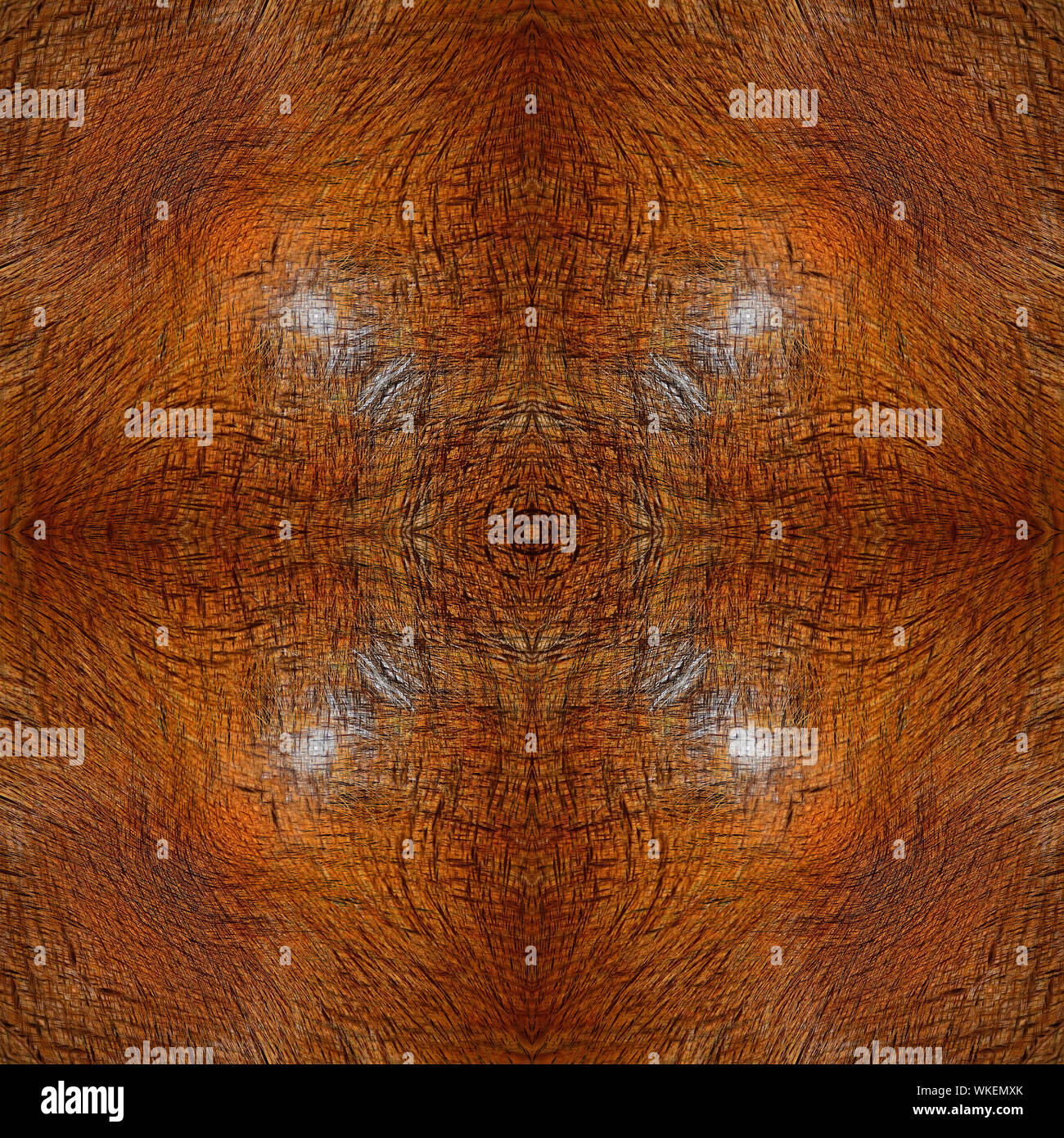 Beautiful seamless pattern made from deer skin Stock Photo - Alamy