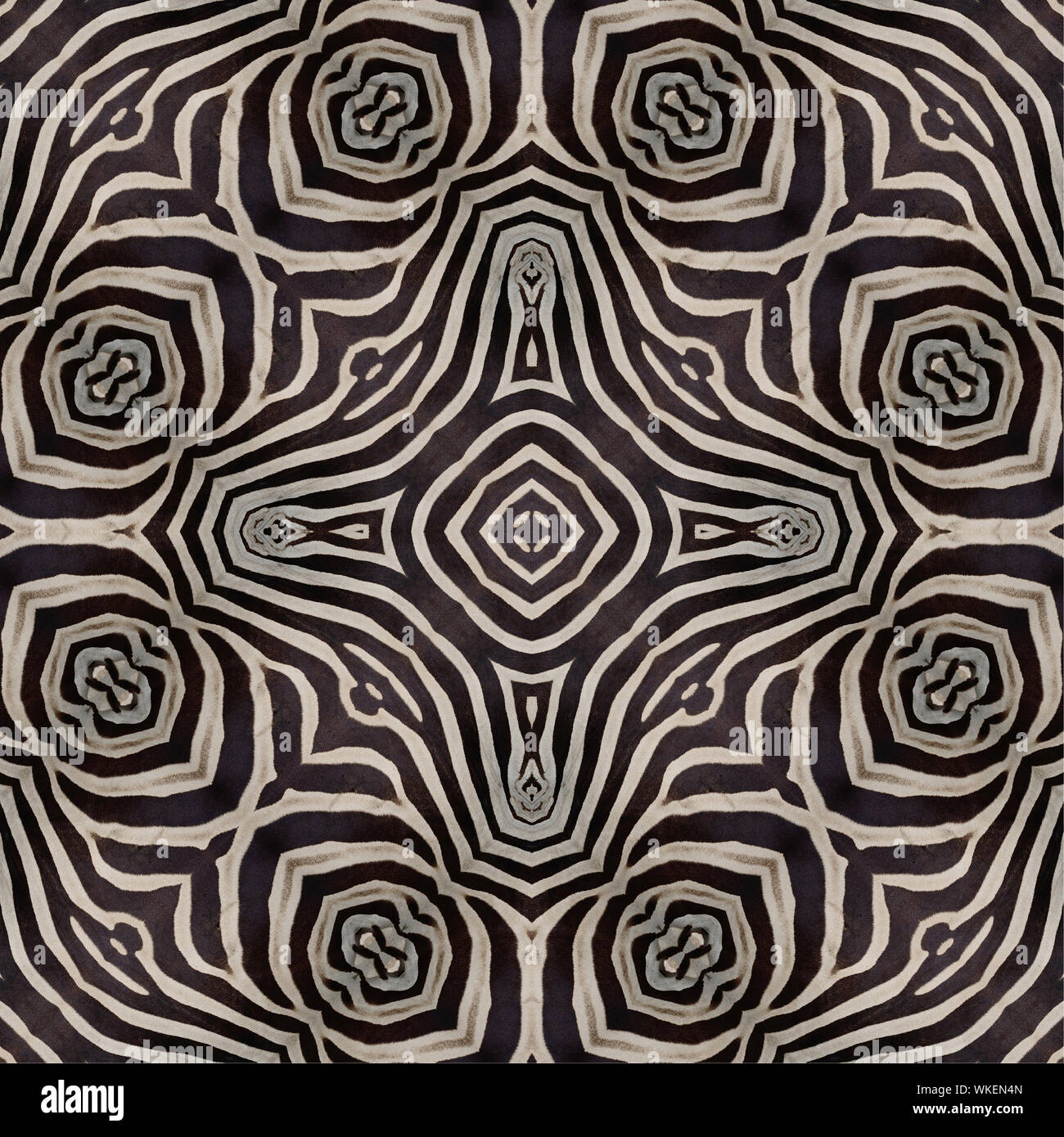 Seamless pattern made from skin of Common Zebra, Burchell's Zebra Stock ...
