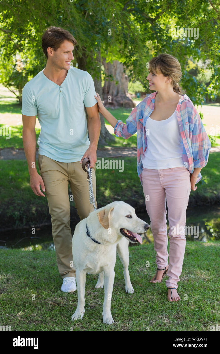 Happy couple walking with their labrador in the park on a sunny day ...