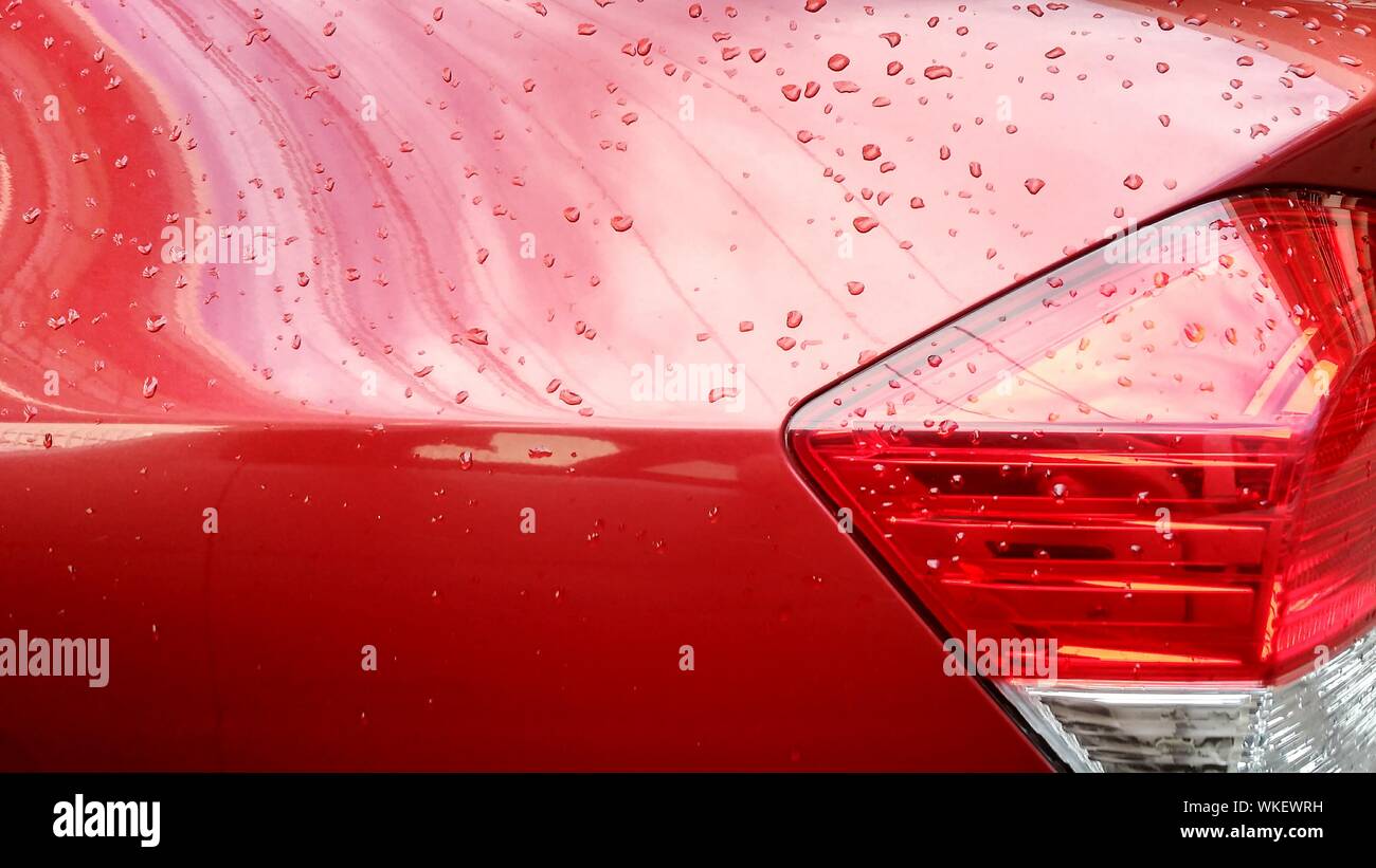 Wet Tail High Resolution Stock Photography and Images - Alamy