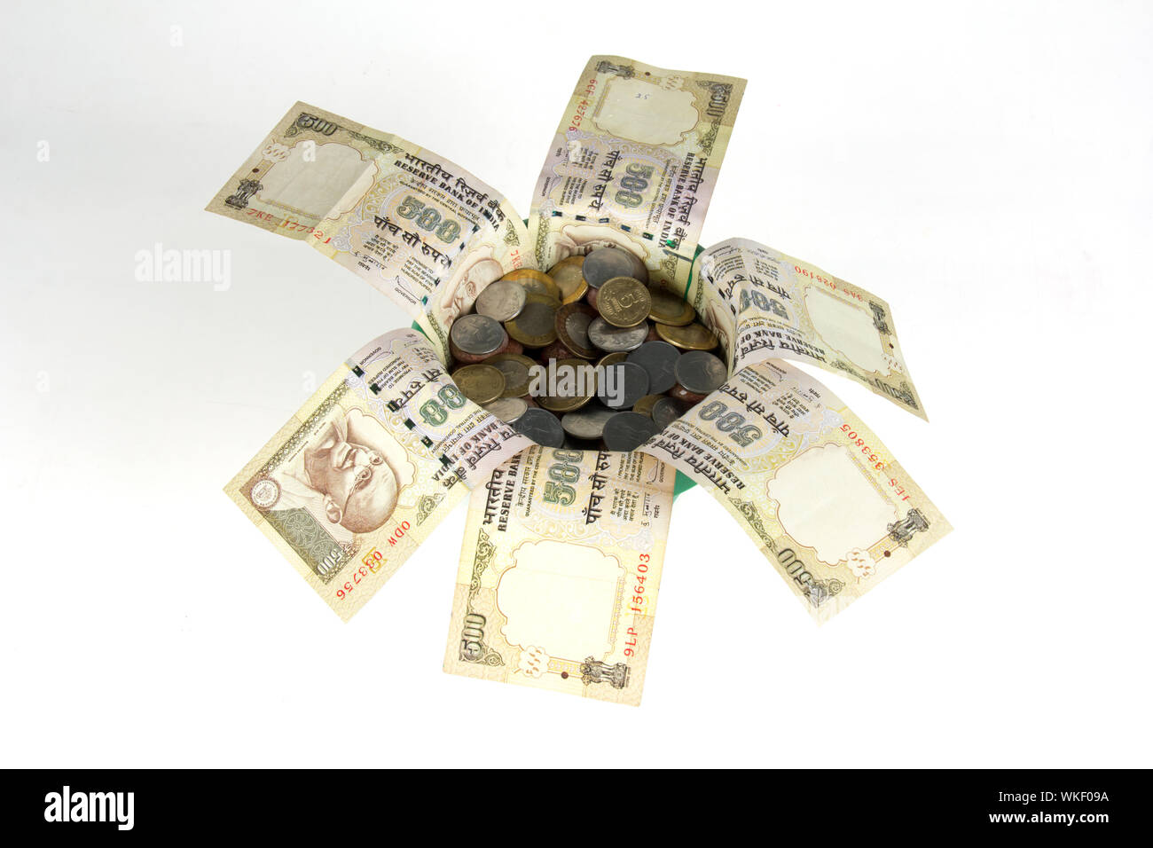 Indian Rupee Tree