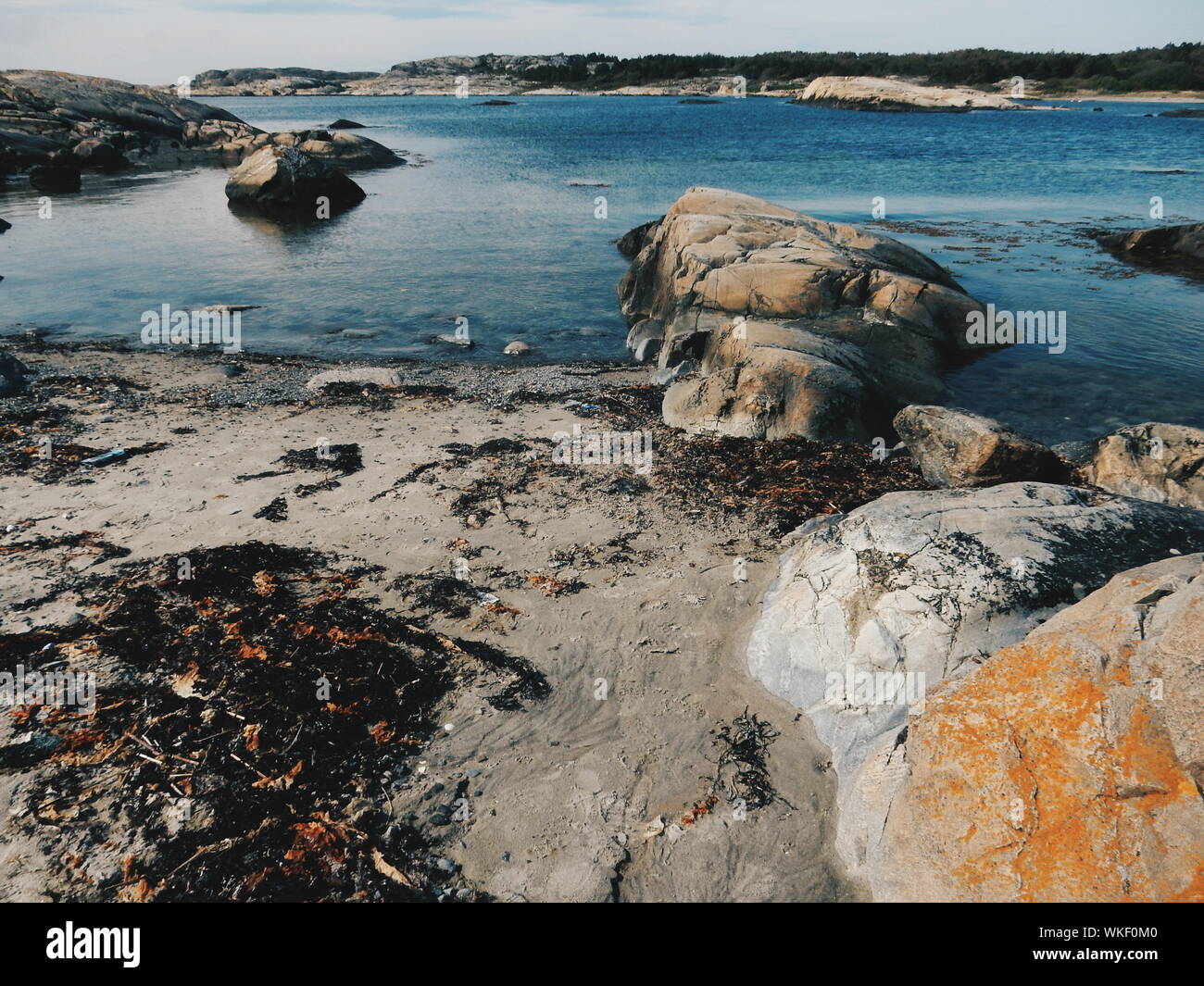 Ash beach hi-res stock photography and images - Alamy