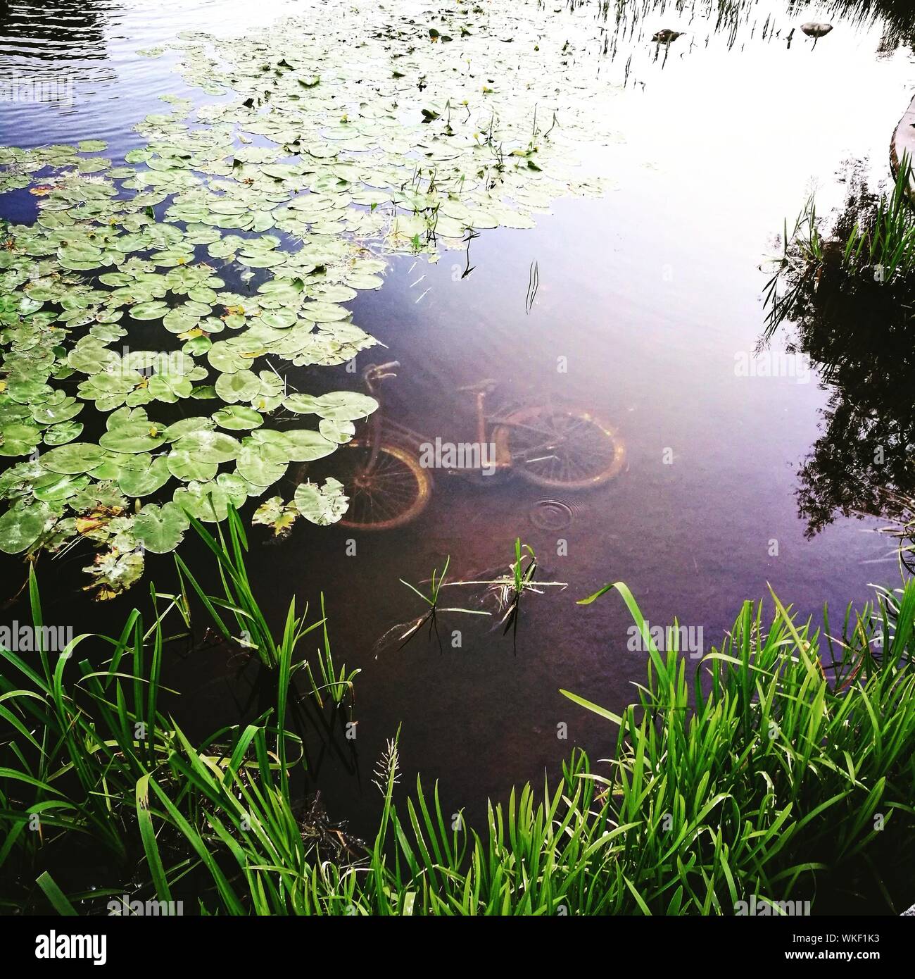 Inside water hi-res stock photography and images - Alamy