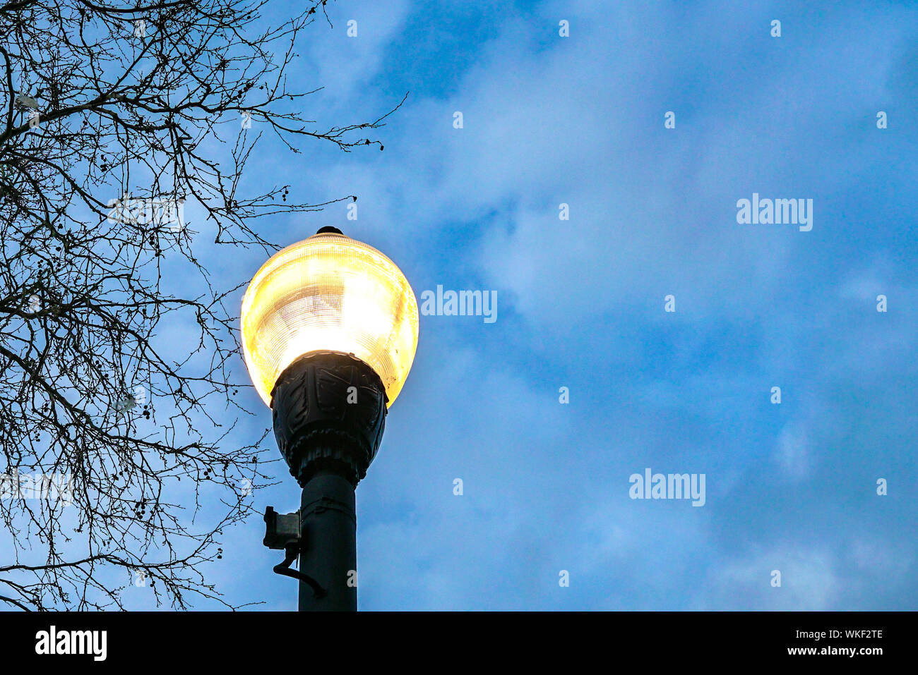 Lit lamp post against blue sky with no leaves tree, copy space Stock ...