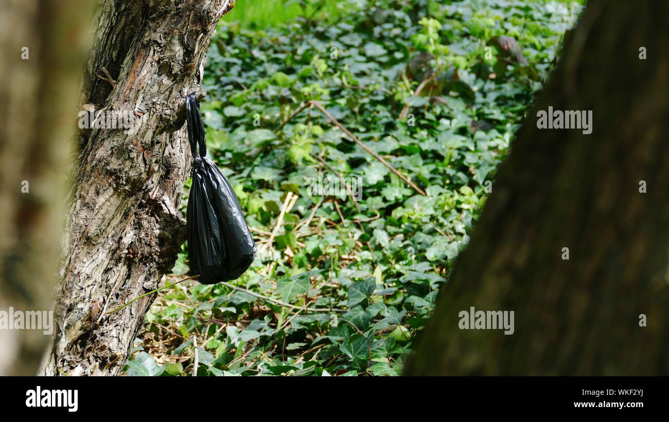 Plastic Bag On Tree High Resolution Stock Photography and Images - Alamy
