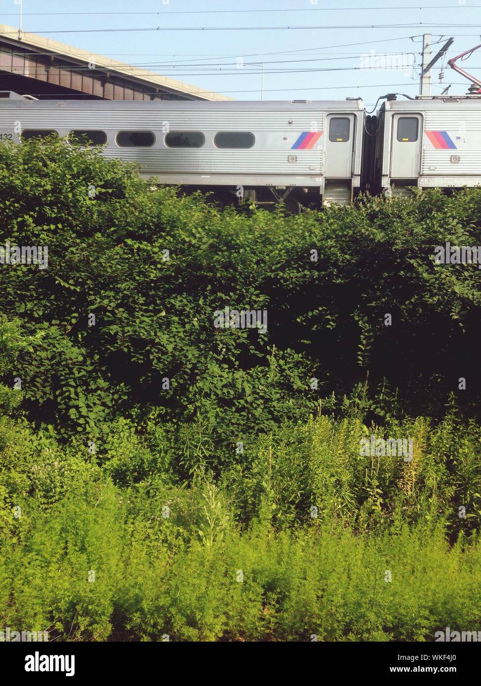 Train Going Under Bridge High Resolution Stock Photography and Images ...