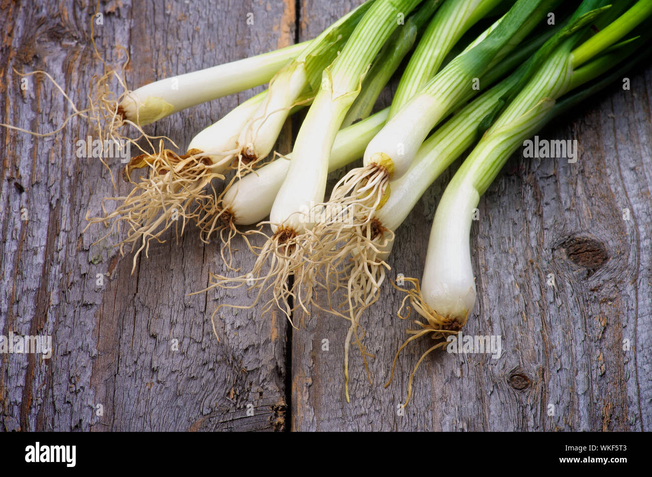 Bunch of Fresh Spring Onion Stems isolated on Rustic Wooden background ...