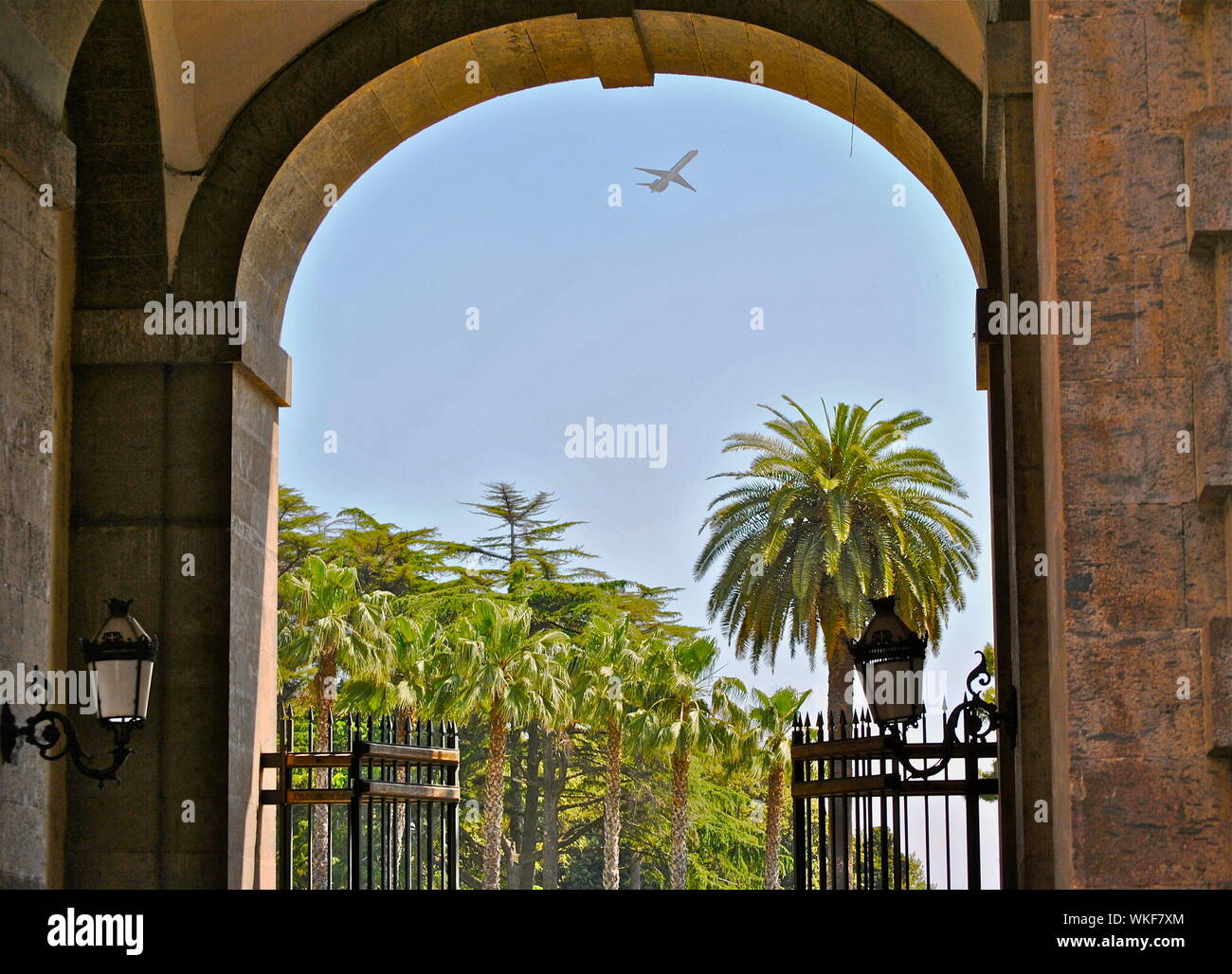 Flying through tree hi-res stock photography and images - Alamy