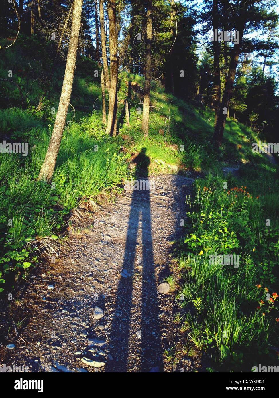 Person with nature hi-res stock photography and images - Alamy