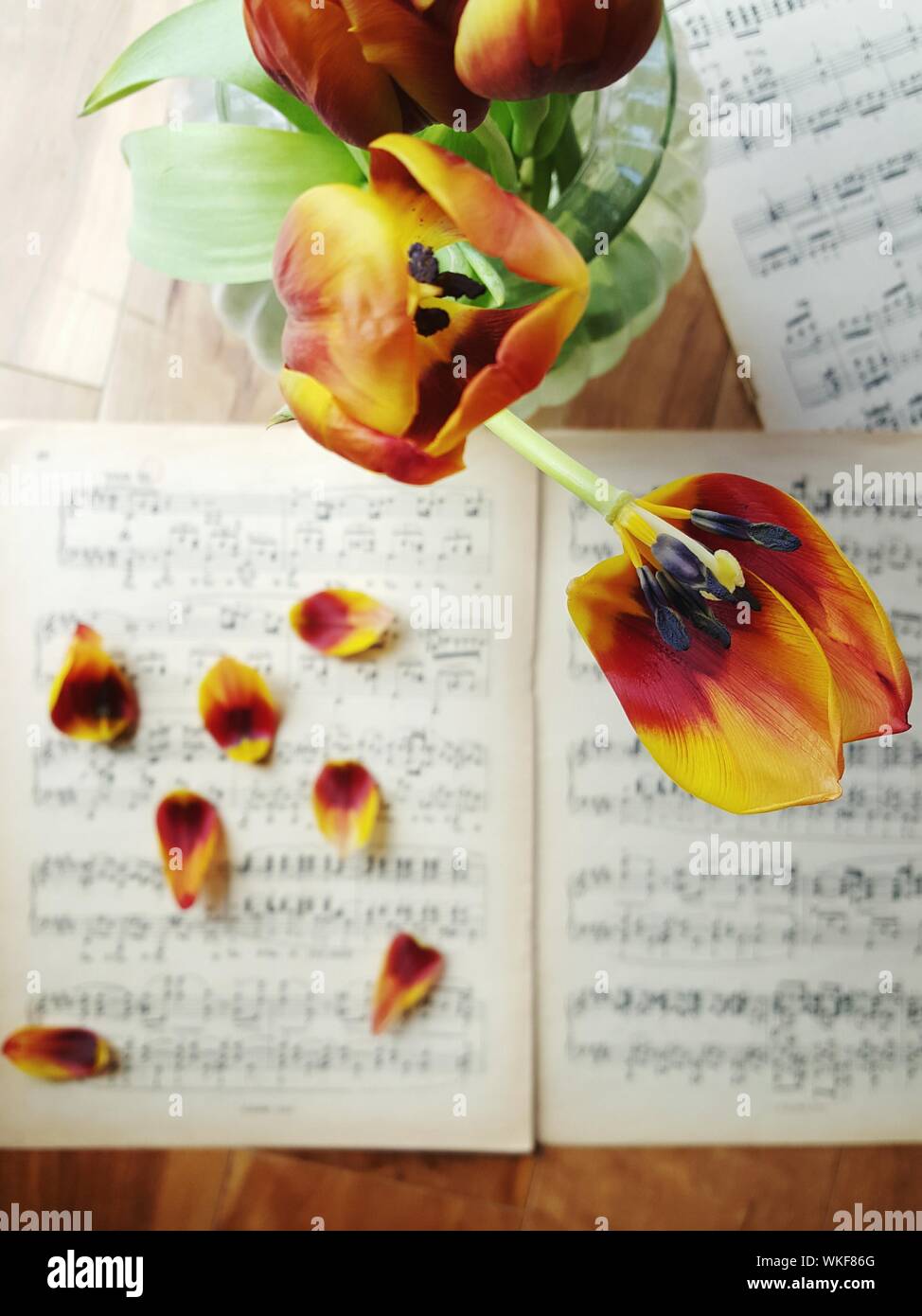 Music notes head hi-res stock photography and images - Alamy