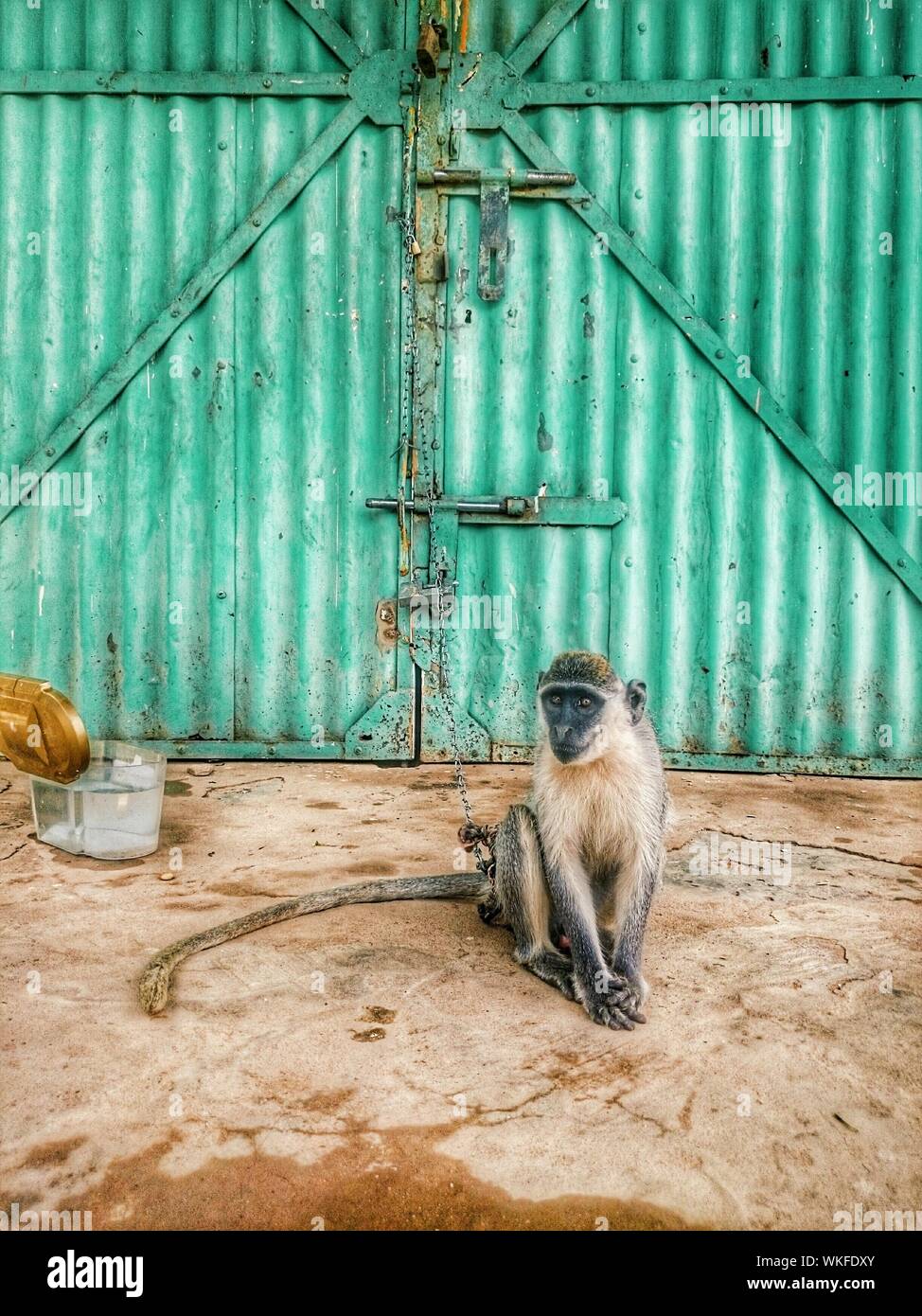 Warehouse outside hi-res stock photography and images - Alamy