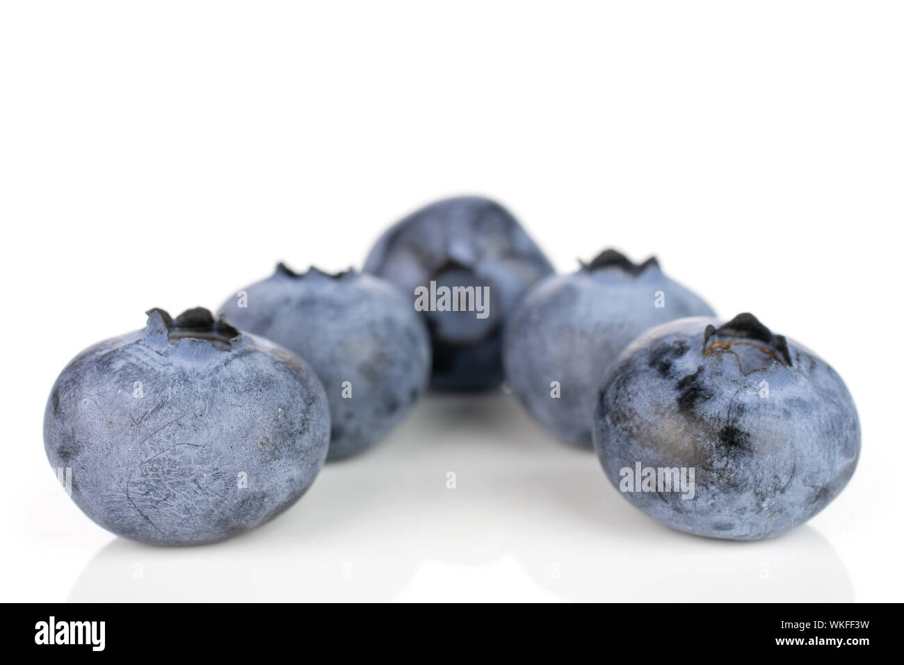 Group of five whole fresh blue bilberry isolated on white background ...