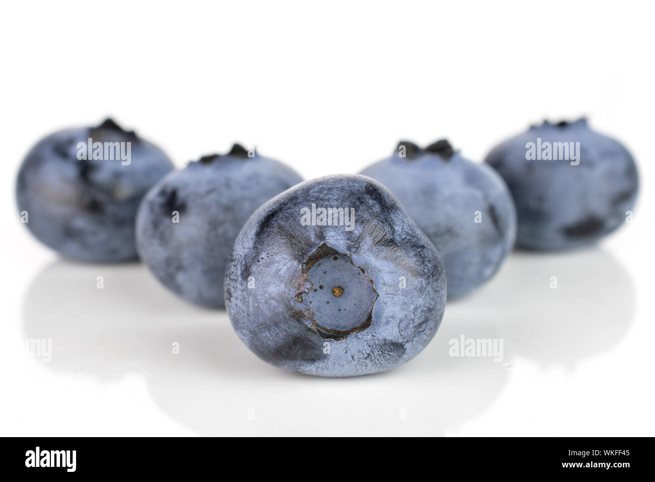Group of five whole fresh blue bilberry isolated on white background ...