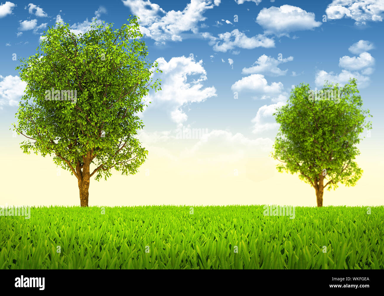 Trees and green landscape. Beautiful natural background Stock Photo - Alamy