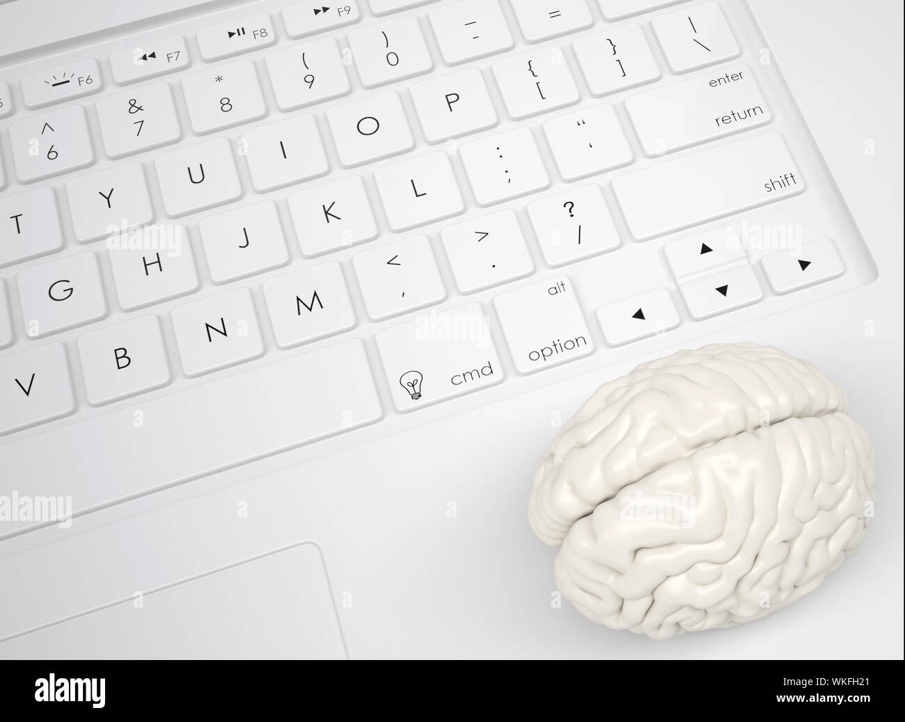 Human brain from above hi-res stock photography and images - Alamy
