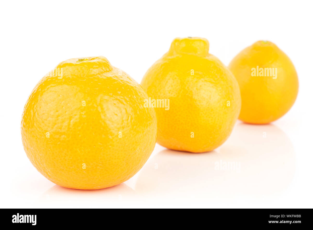 Group of three whole fresh orange tangelo minneola placed diagonally ...