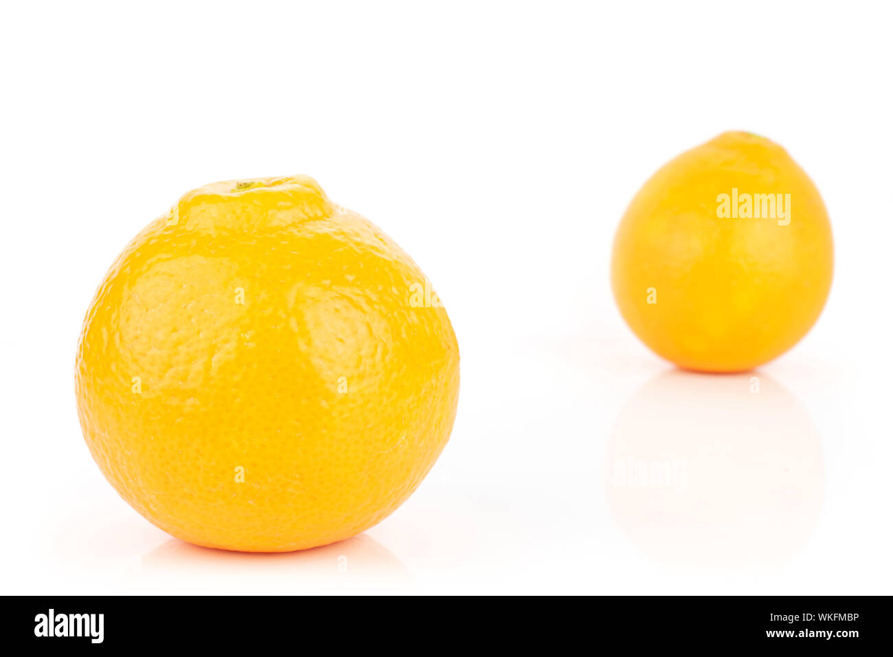 Group of two whole fresh orange tangelo minneola isolated on white ...