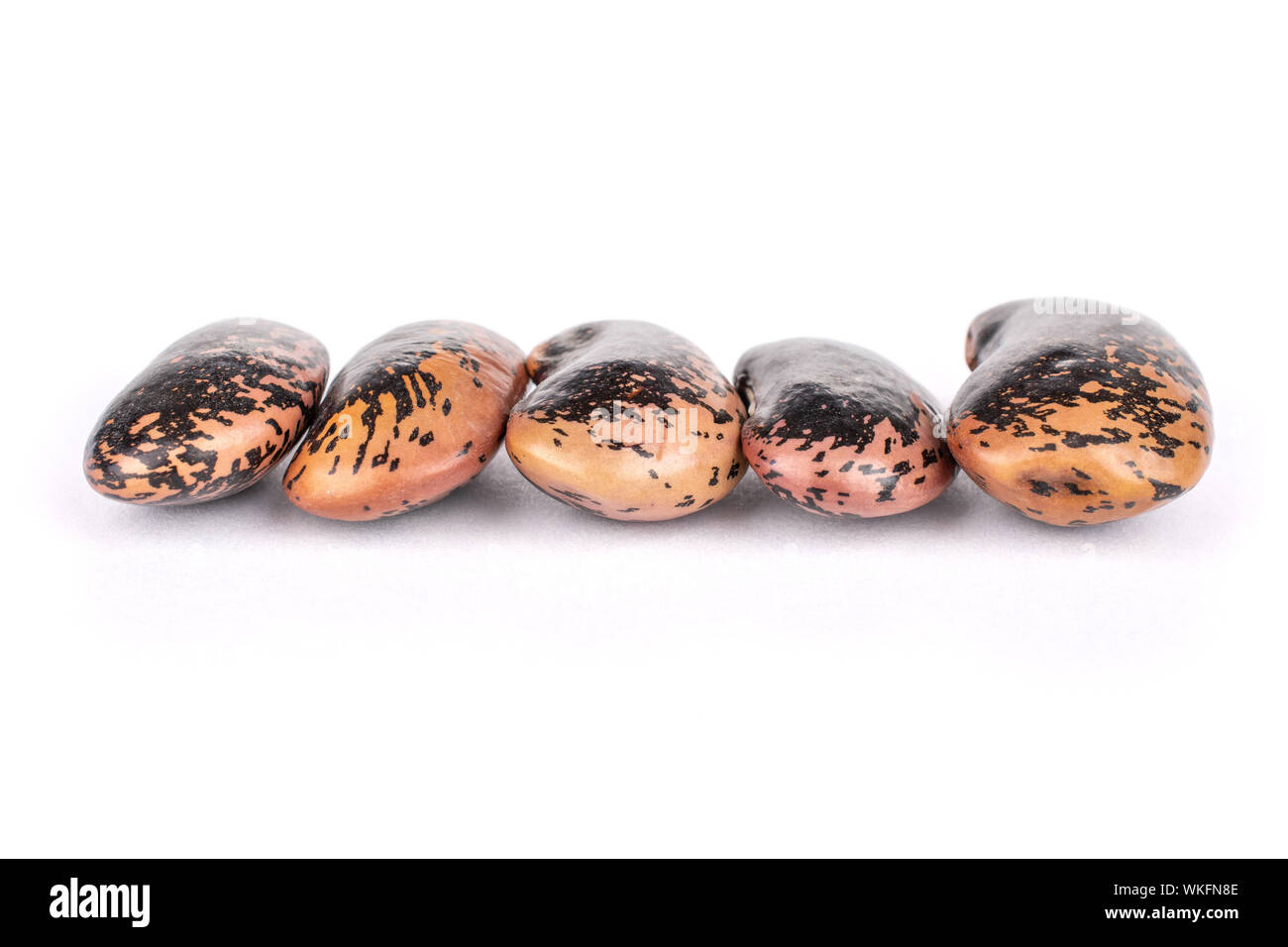 Group of five whole stained purple bean isolated on white background ...