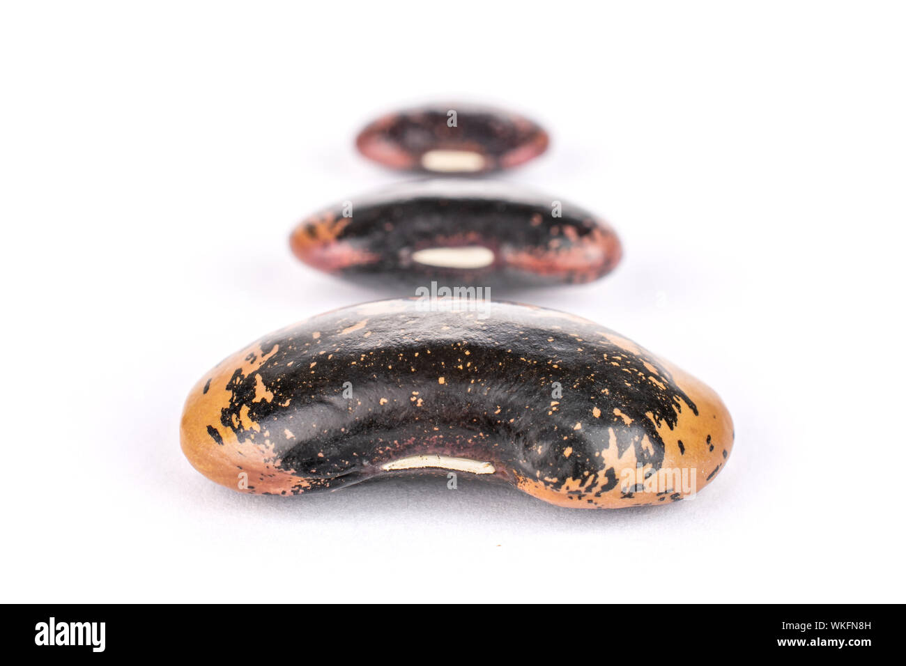 Group of three whole stained purple bean isolated on white background ...
