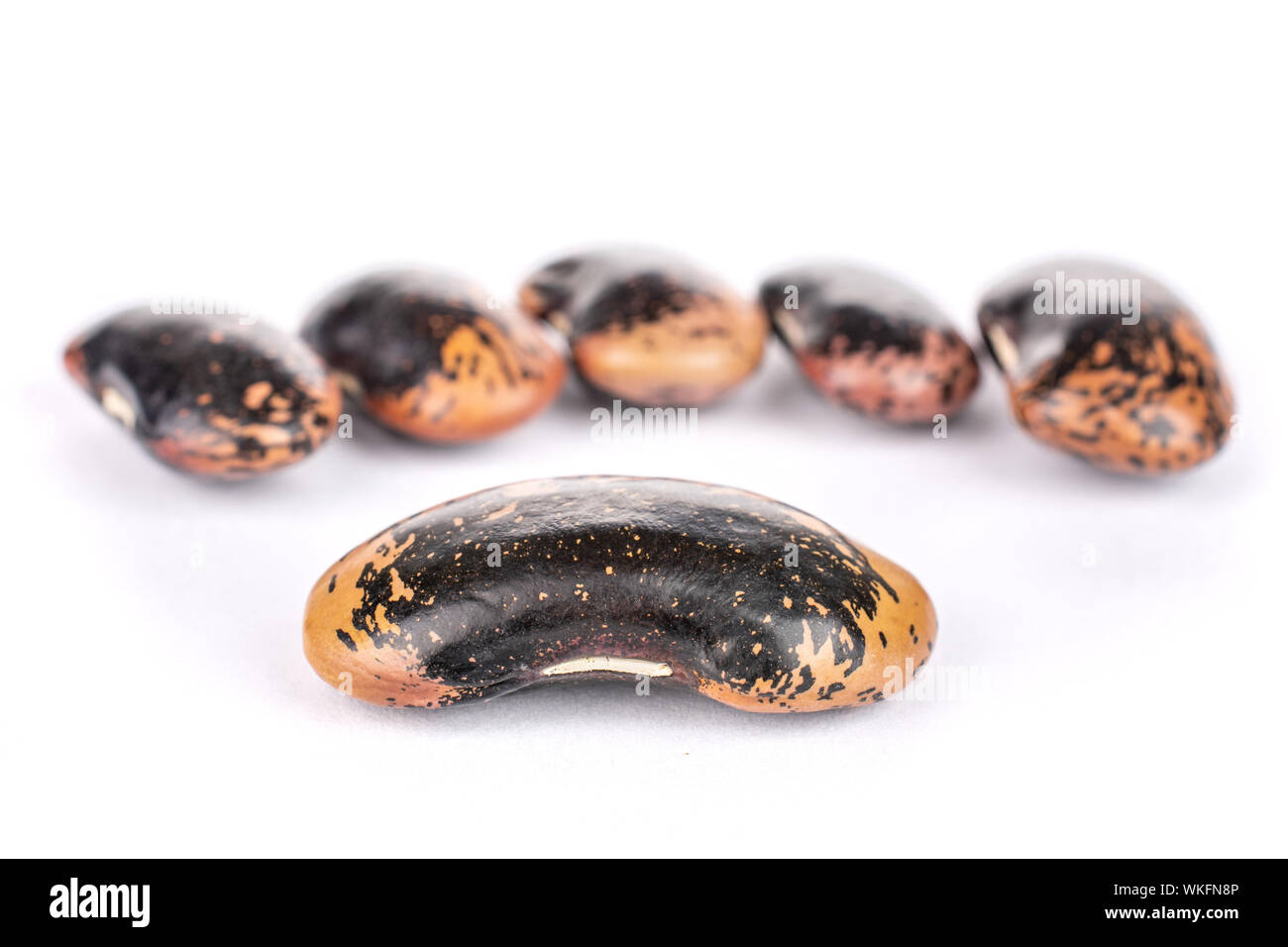 Group of six whole stained purple bean isolated on white background ...