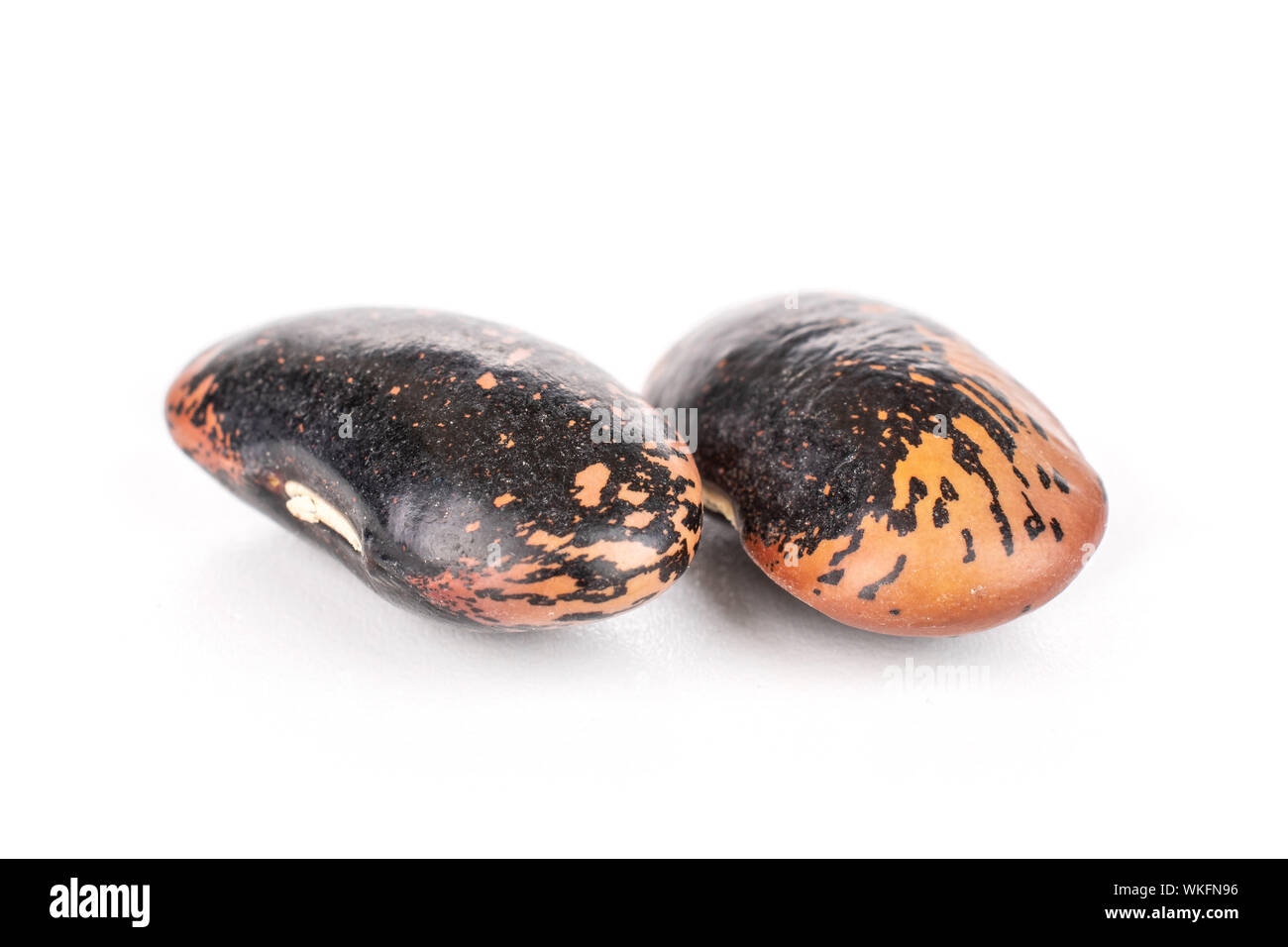 Group of two whole stained purple bean isolated on white background ...