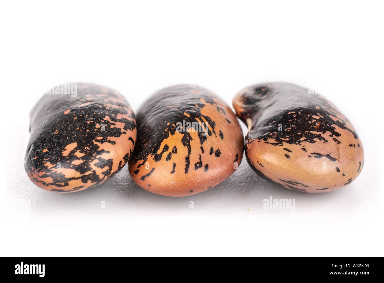 Group of three whole stained purple bean isolated on white background ...
