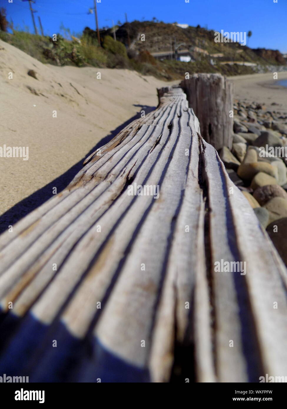 Logs On Beach High Resolution Stock Photography and Images - Alamy