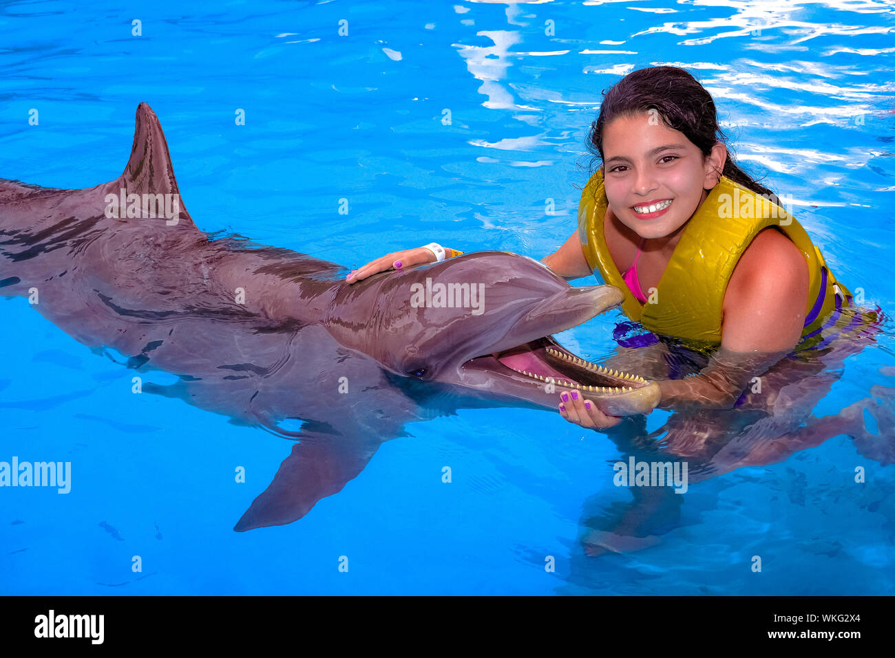 Portrait Of Smiling Girl With Dolphin In Swimming Pool Stock Photo - Alamy