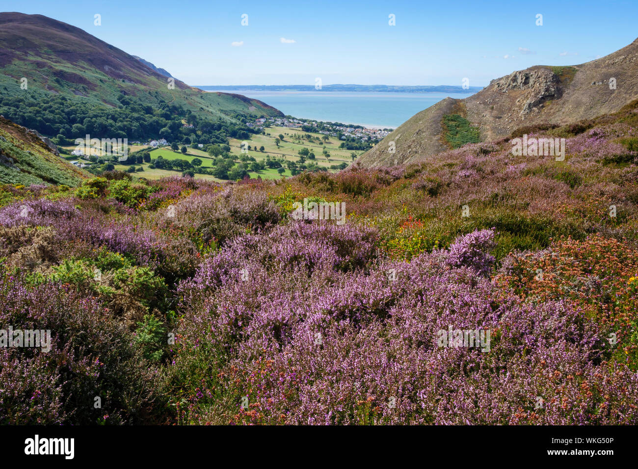 Sychnant hi-res stock photography and images - Alamy