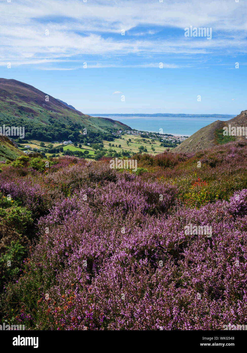 Sychnant pass hi-res stock photography and images - Alamy