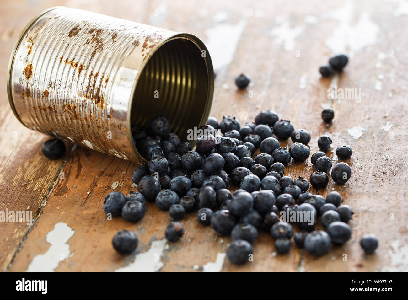 D448 hi-res stock photography and images - Alamy