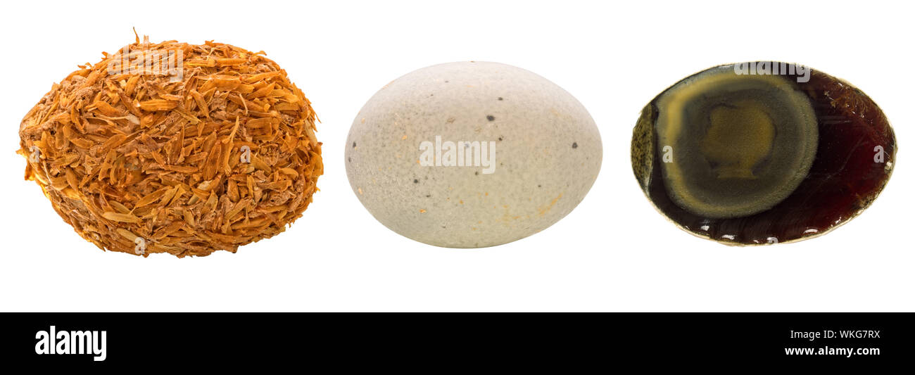 Century old eggs Cut Out Stock Images & Pictures - Alamy