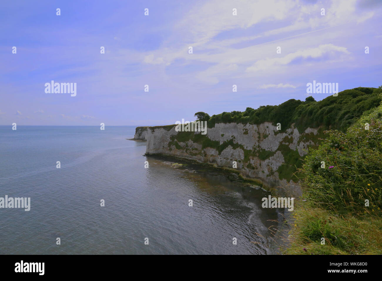 Plant growing in the cliff hi-res stock photography and images - Alamy