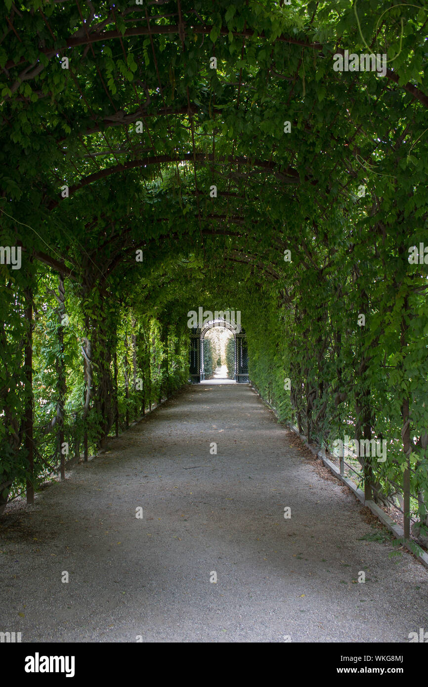 Ivy arch tunnel hi-res stock photography and images - Alamy