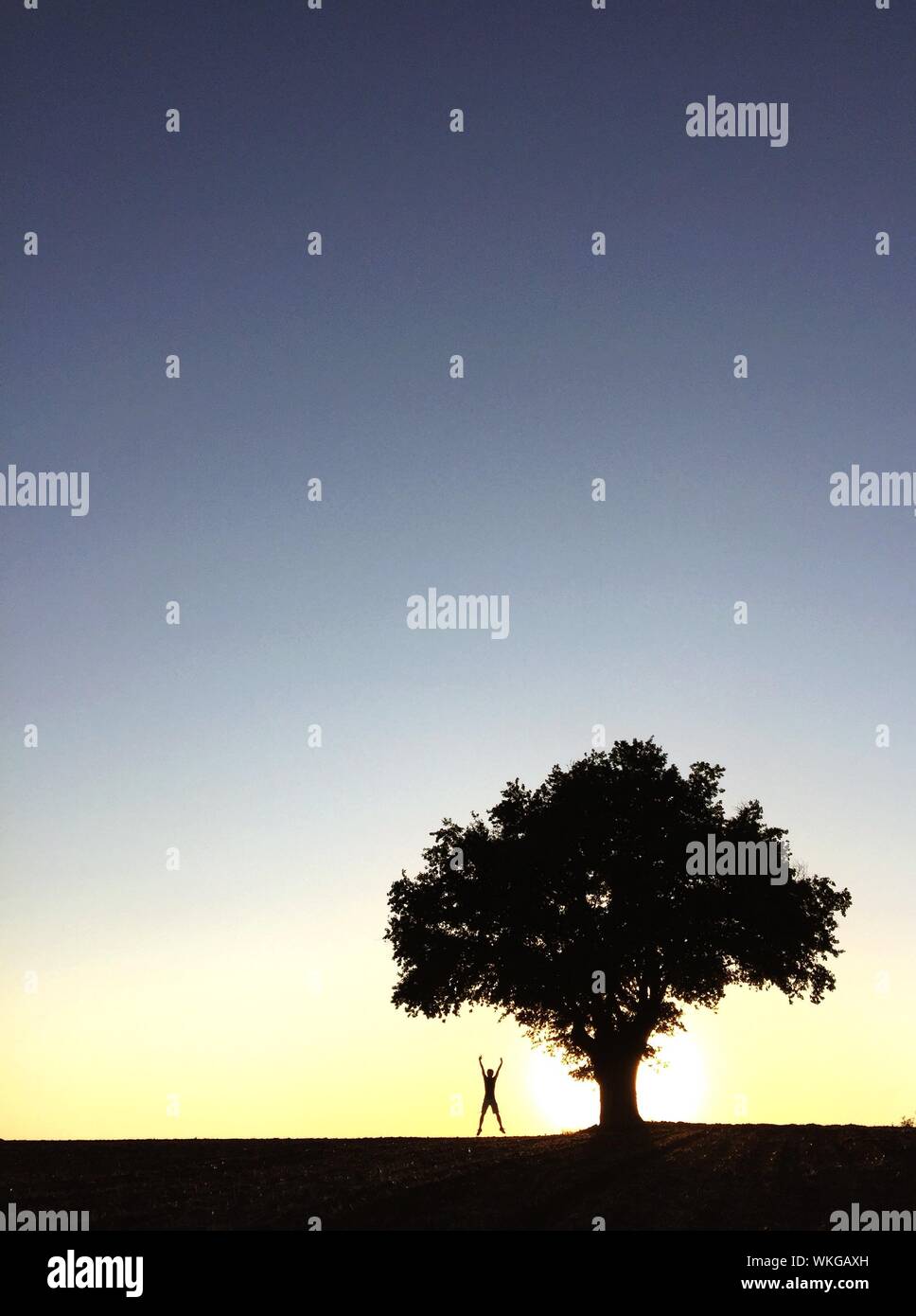 Single person silhouette hi-res stock photography and images - Alamy