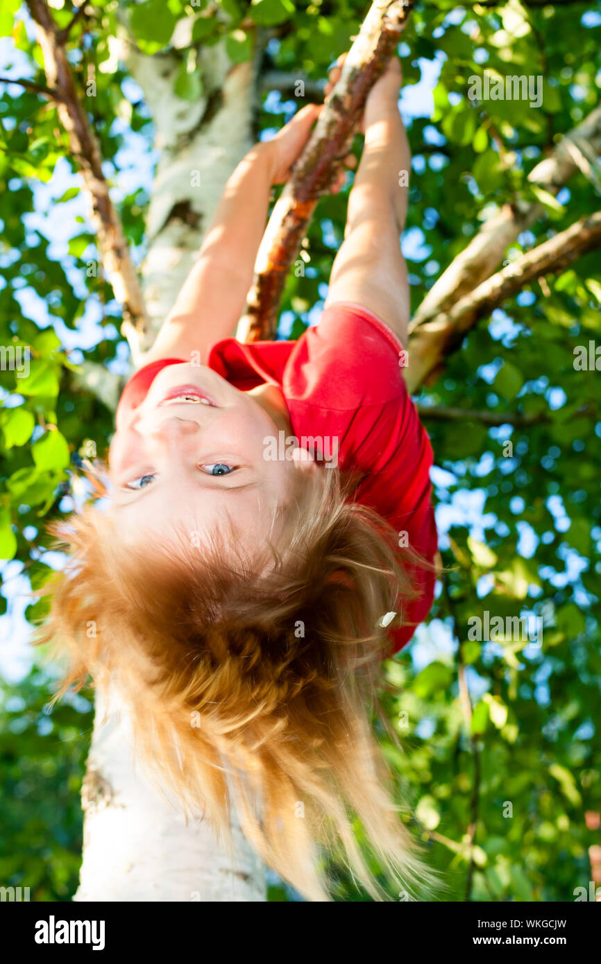 Little girl having fun playing on birch tree Stock Photo - Alamy