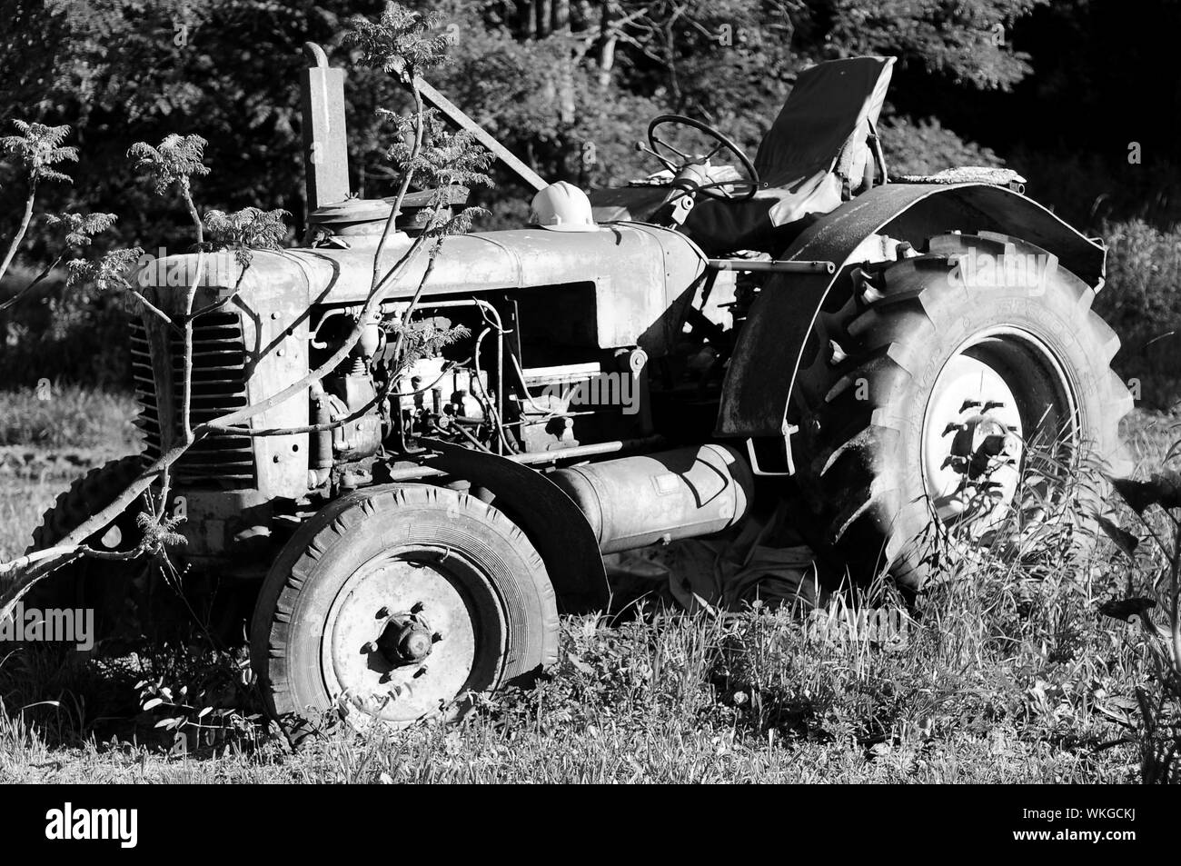 Tractor Black and White Stock Photos & Images - Alamy