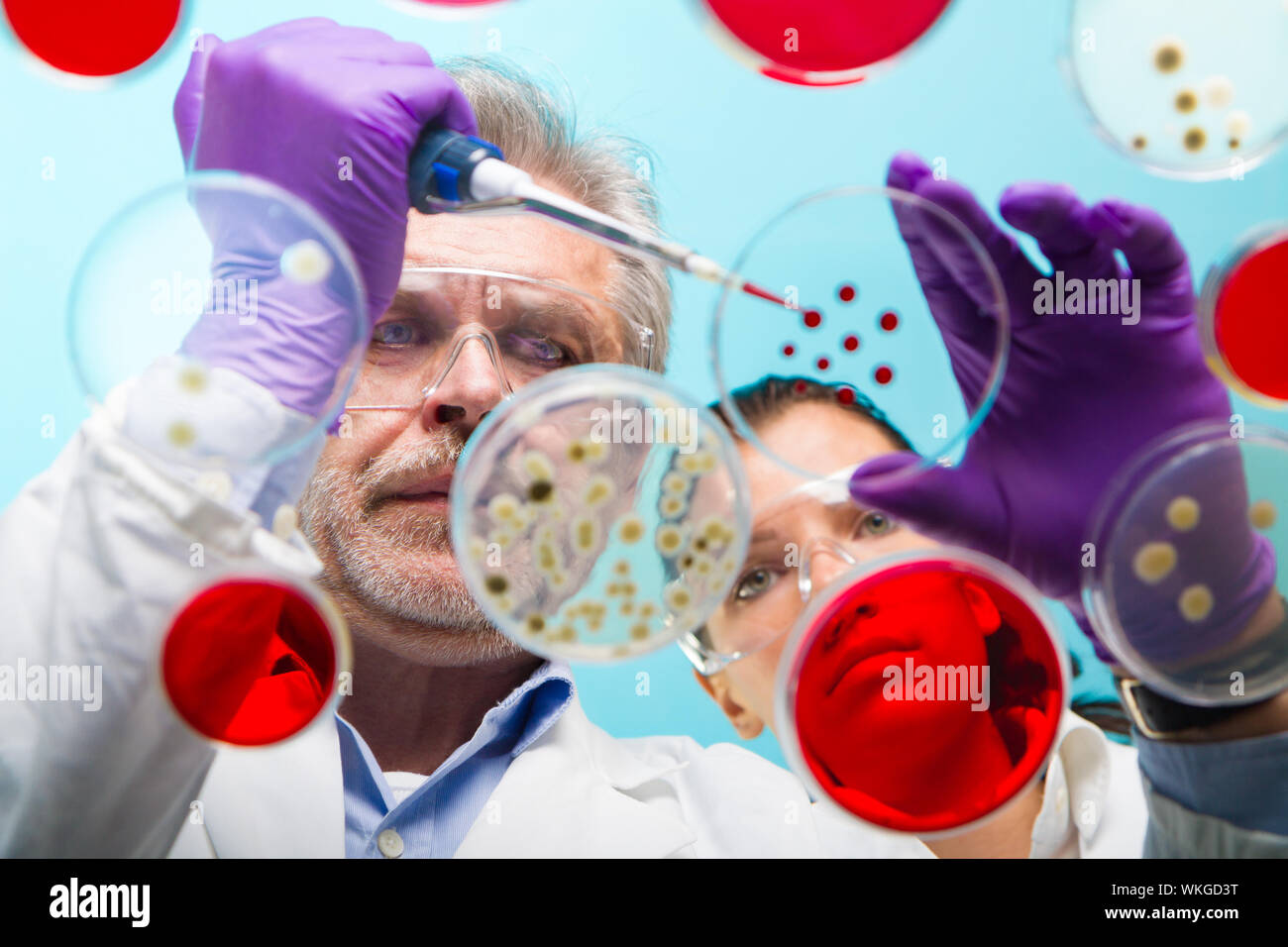 Bio science hi-res stock photography and images - Alamy