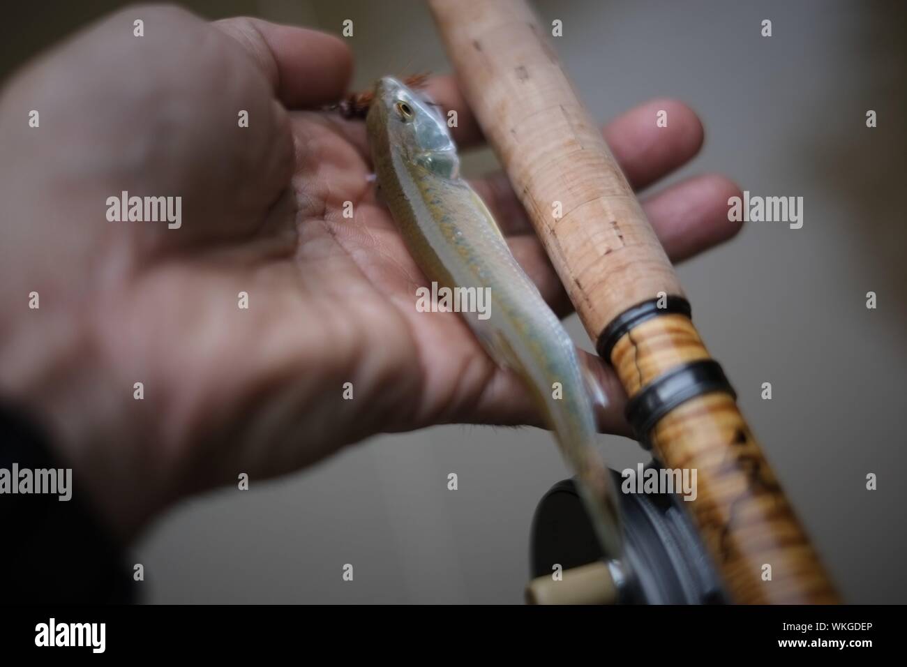 Bait And Hook Person High Resolution Stock Photography and Images - Alamy