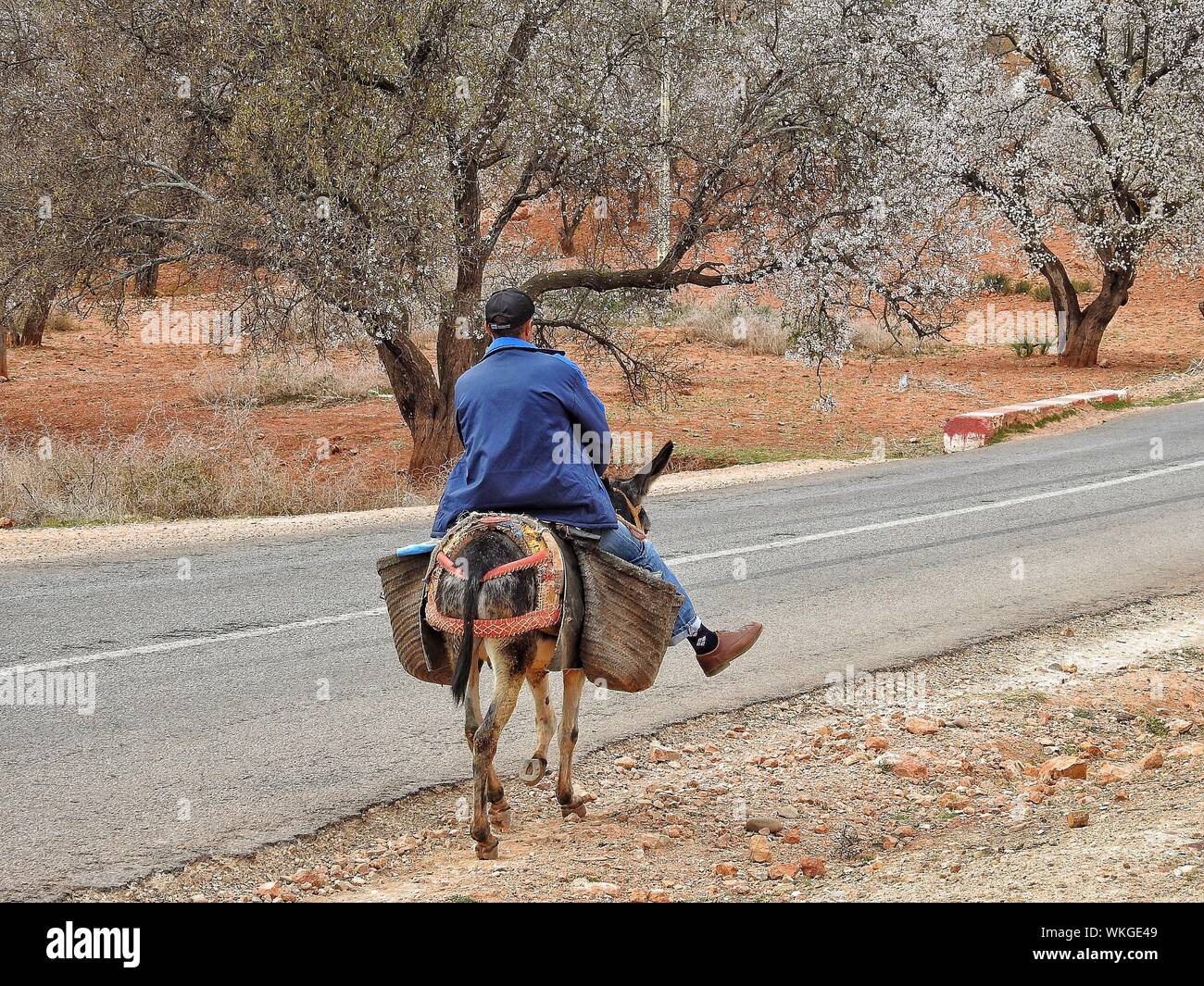 Man Riding Donkey High Resolution Stock Photography and Images - Alamy