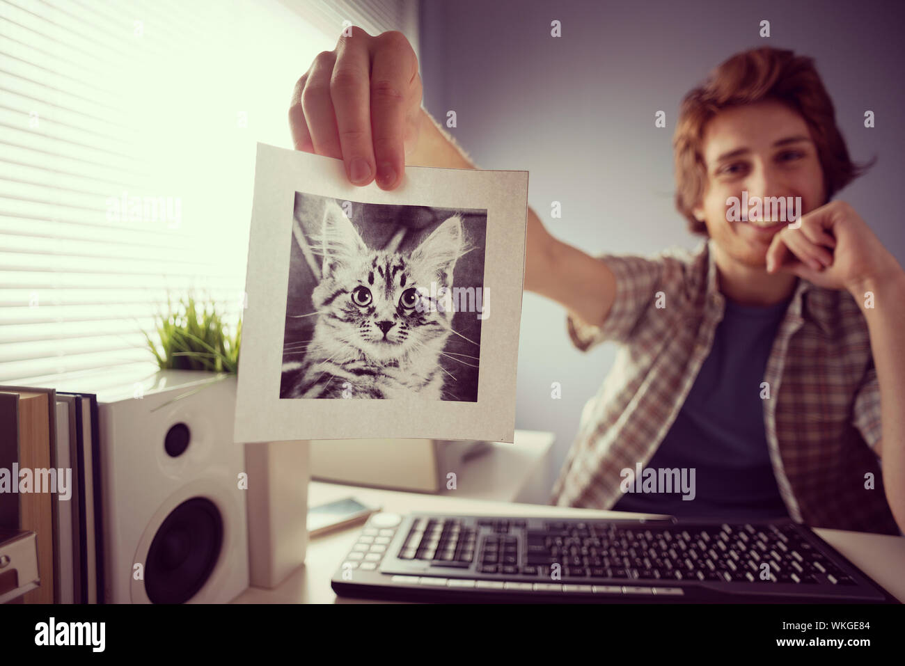 Cat picture and video hi-res stock photography and images - Alamy